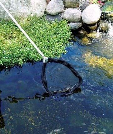 Pond Cleaning & Maintenance - Lake Expert
