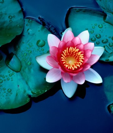 Cemetery Water Feature Installation, Repair, Maintenance | Lake Expert